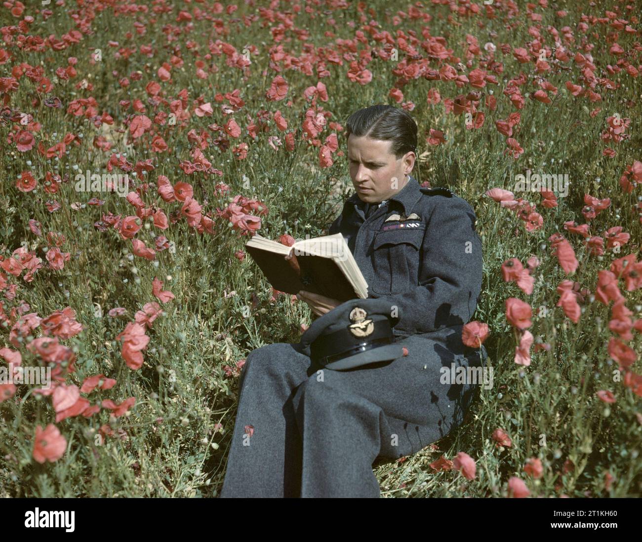 Wing Commander Guy Gibson VC, Commanding Officer of No. 617 Squadron ...