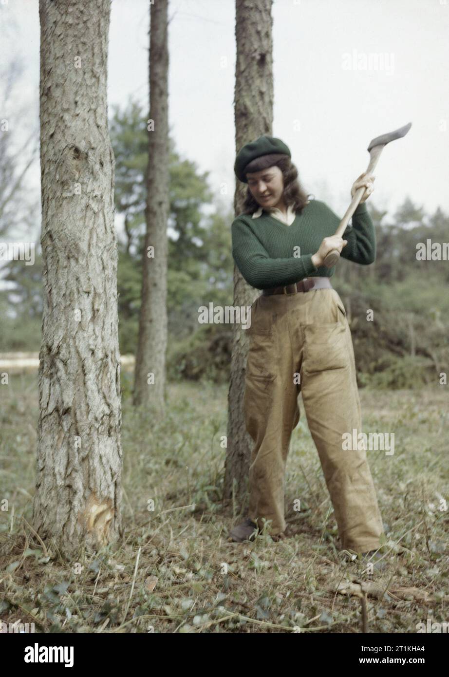 Women's Timber Corps Training Camp at Culford, Suffolk Jean Sheehan, a ...