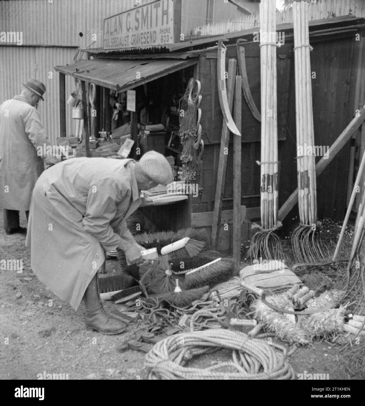 Cattle Market- Everyday Life at Cattle Markets in Kent, England, UK ...