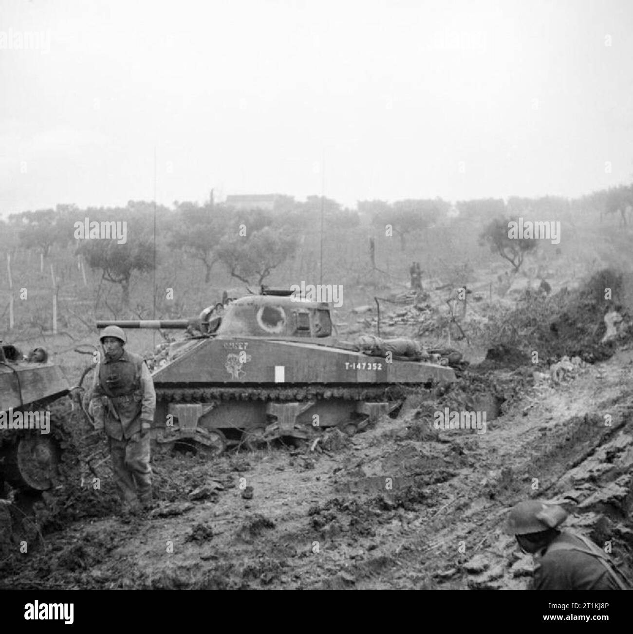 The British Army in Italy 1944 Bogged Sherman tank of 12th Canadian ...