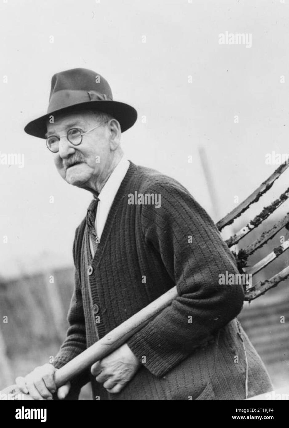 Dig For Victory- Life on a Wartime Allotment, Acton, Middlesex, England ...