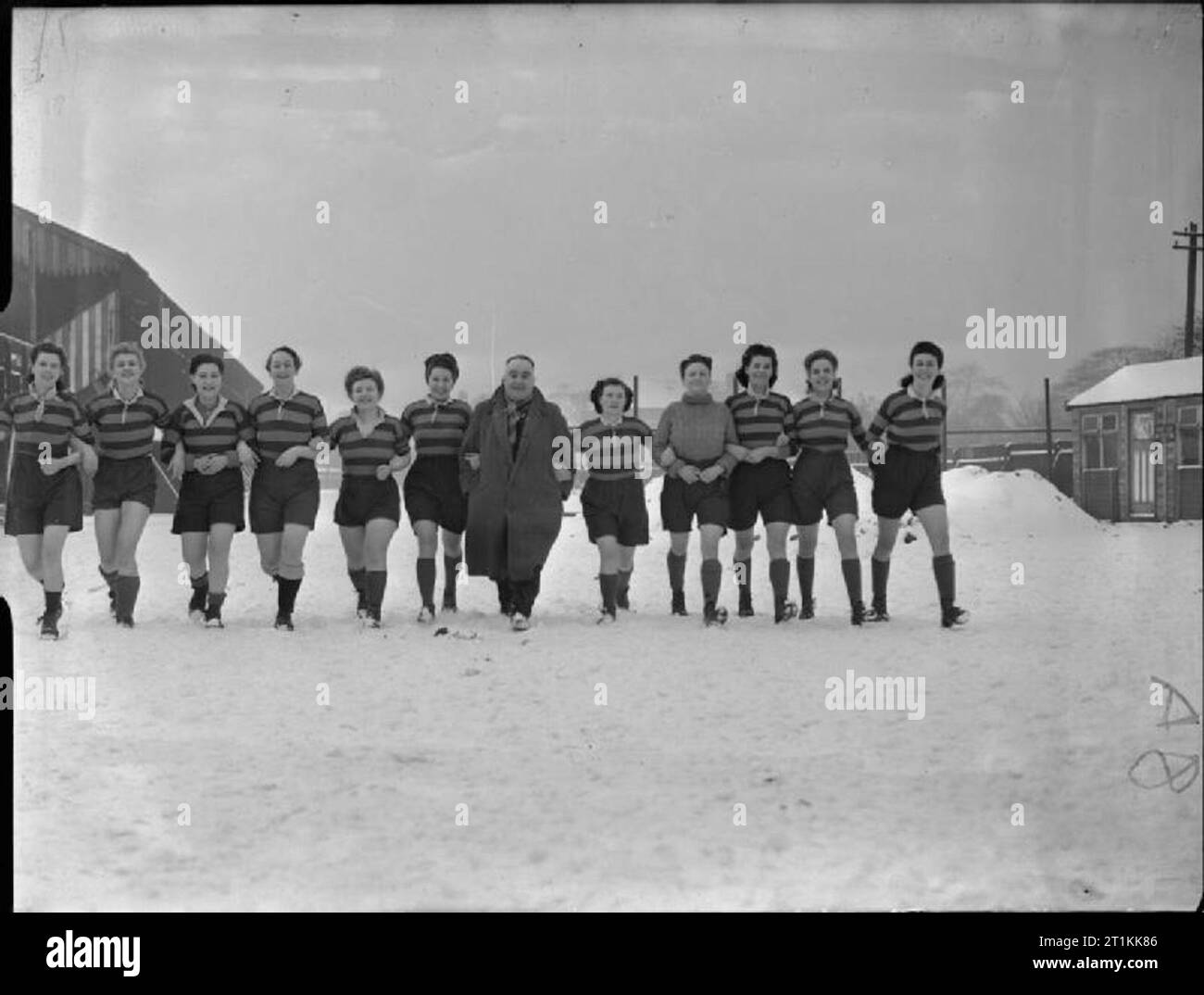 Snow finch Black and White Stock Photos & Images - Alamy
