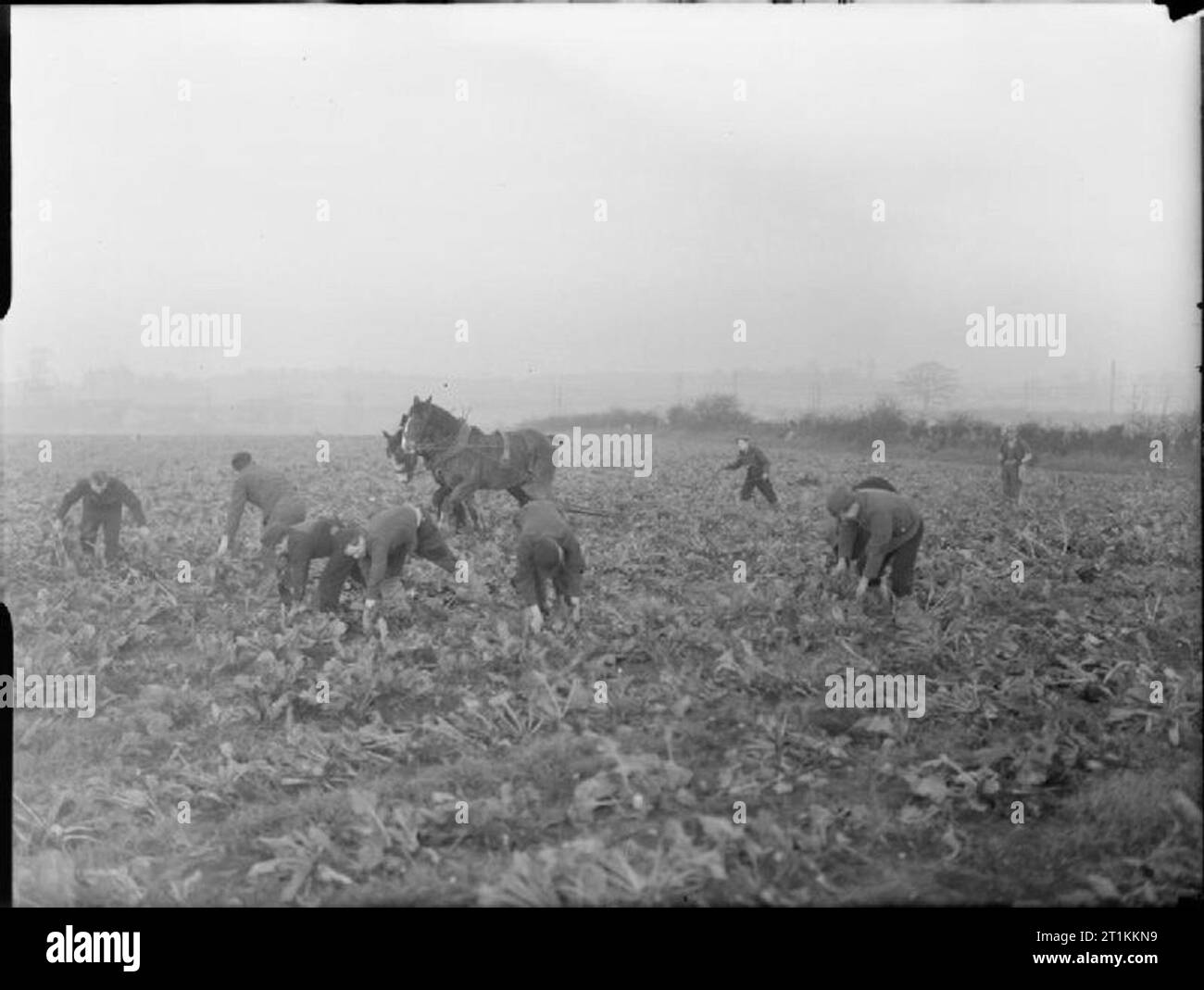German pow camp uk hi-res stock photography and images - Alamy