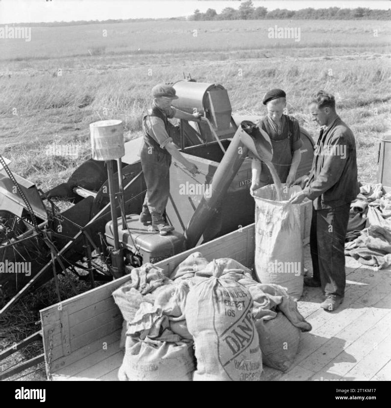 Harvesting at Mount Barton, Devon, England, 1942 Men at work during ...