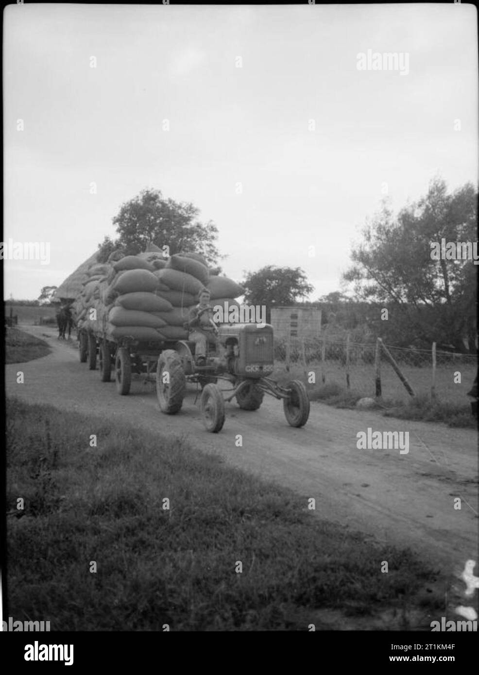 Hop picking kent england hop hi-res stock photography and images - Alamy