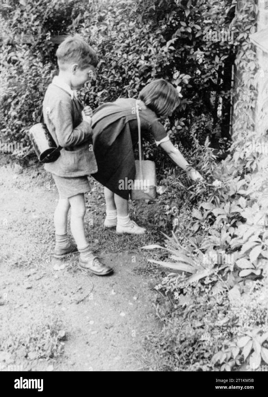 A Working Class Family in Wartime- Every Day Life With the Suter Family ...