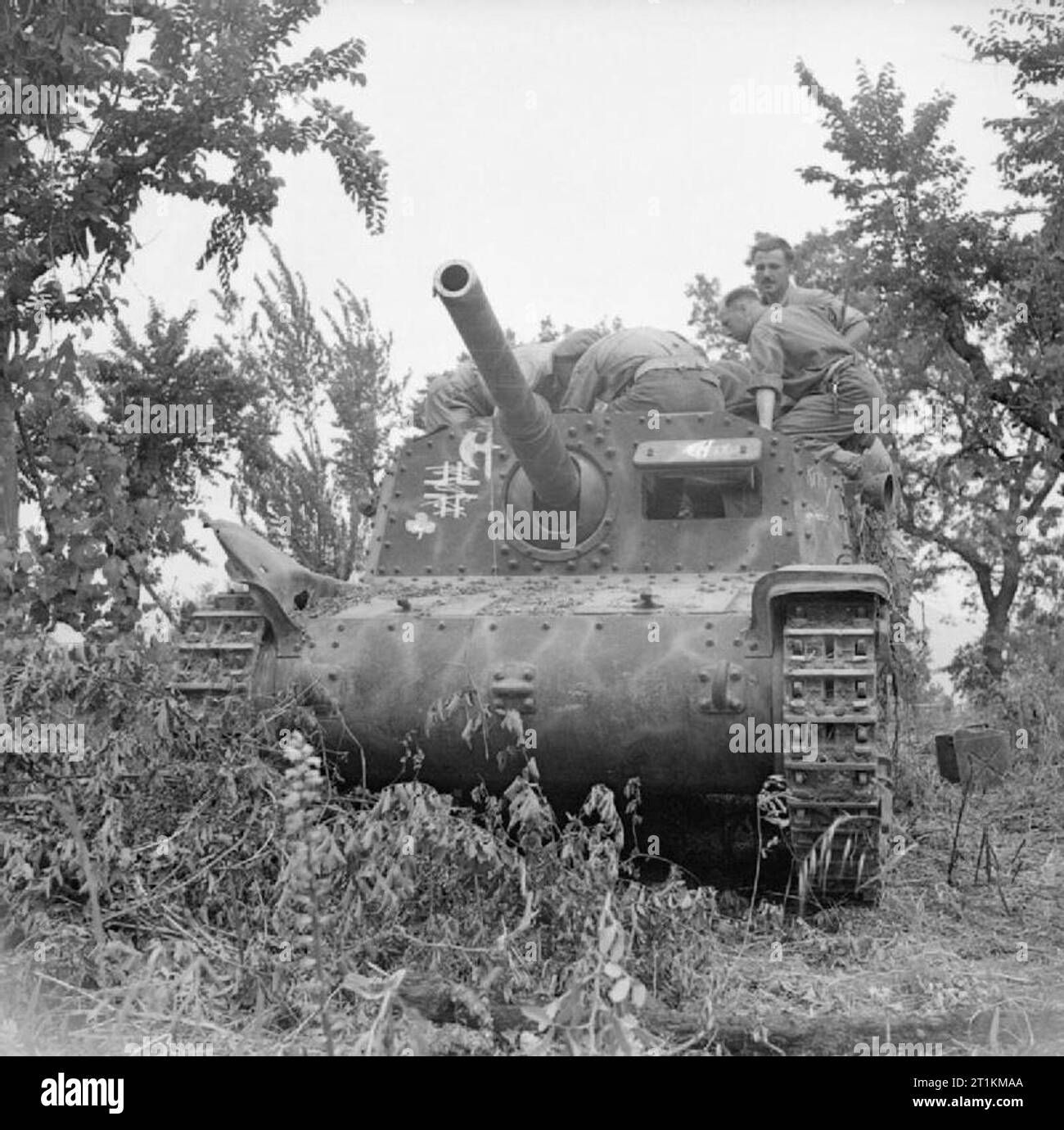 The British Army in Italy 1944 An Italian Semovente self-propelled gun ...