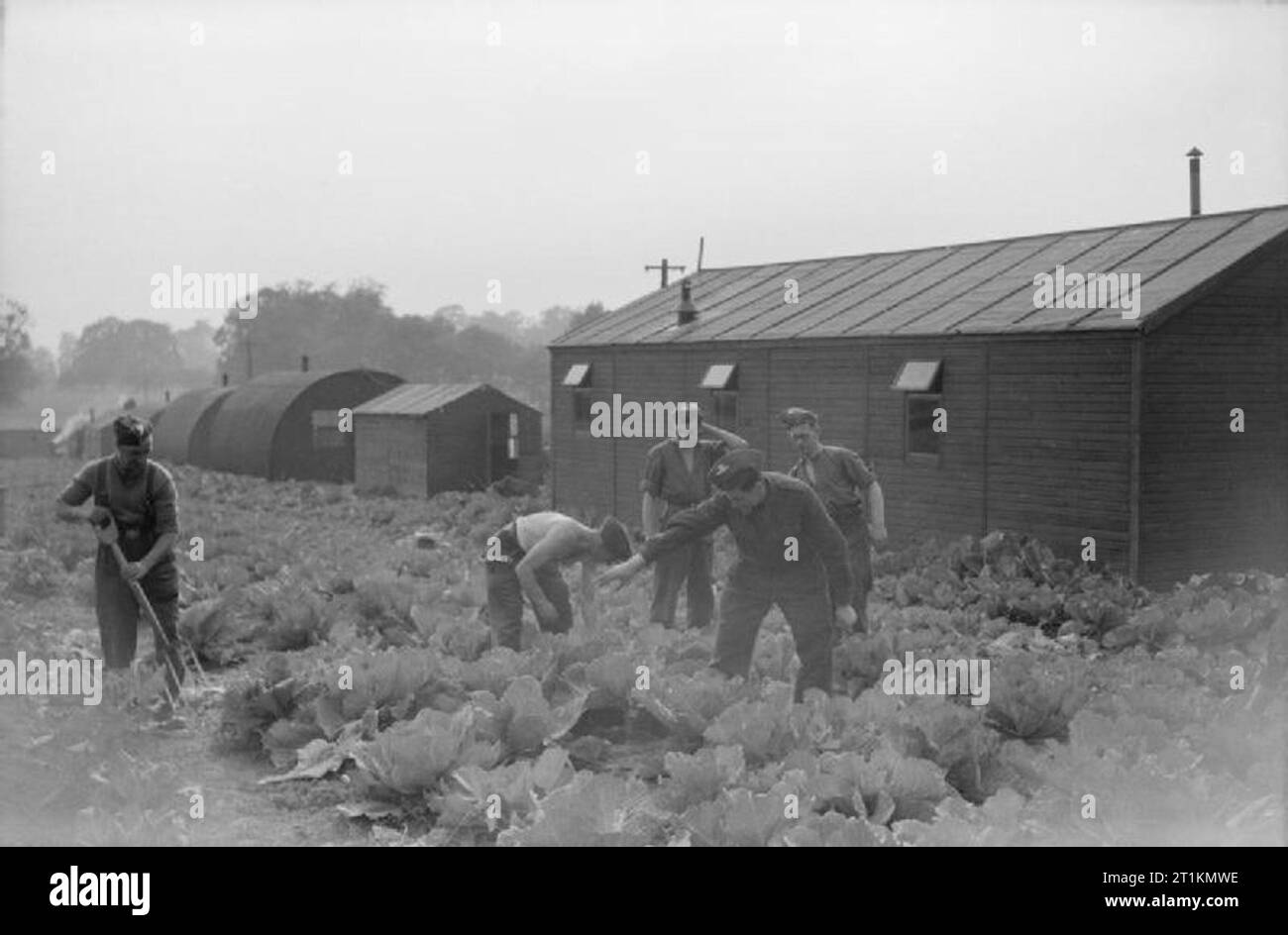 Agriculture and the Military- Everyday Life in the Countryside, Britain ...