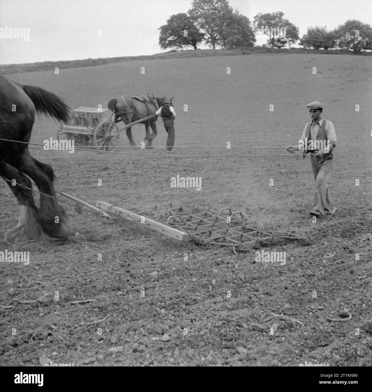 Agriculture in Britain- Life on Mount Barton Farm, Devon, England, 1942 ...