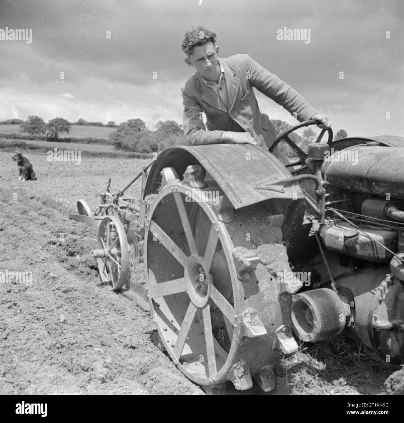 Agriculture in Britain- Life on Mount Barton Farm, Devon, England, 1942 ...