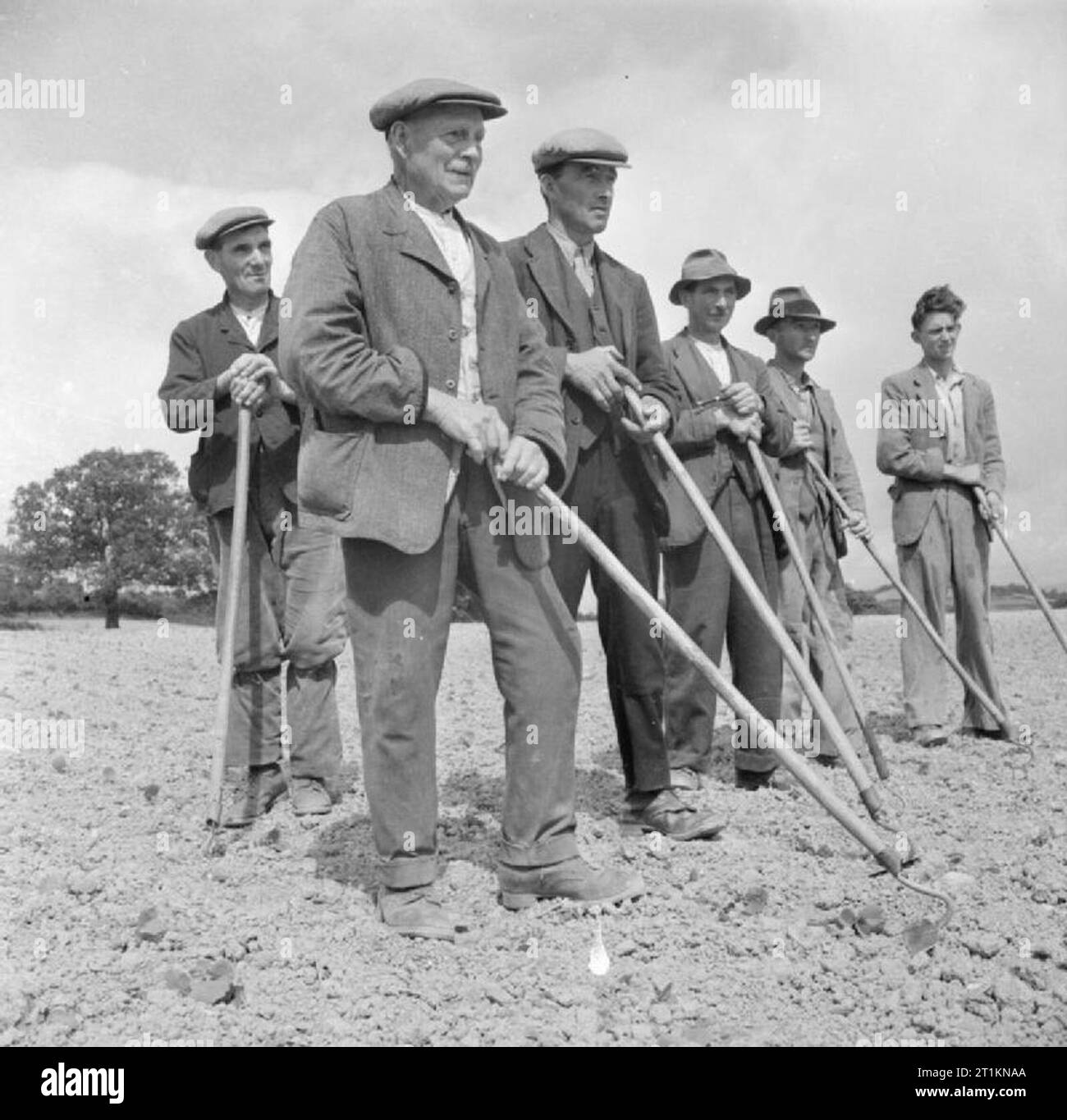 Agriculture in Britain- Life on Mount Barton Farm, Devon, England, 1942 ...
