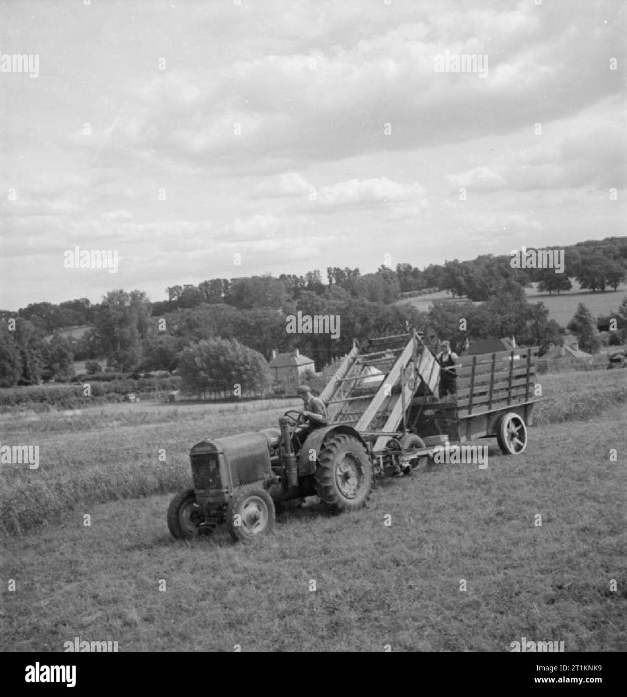 Cattle passes Black and White Stock Photos & Images - Alamy