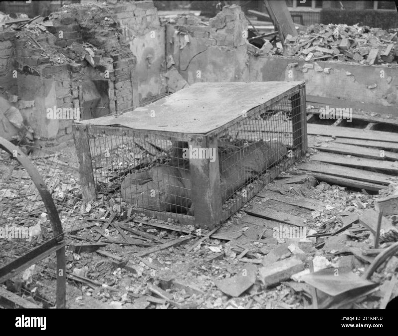 Morrison Shelter on Trial- Testing the New Indoor Shelter, 1941 This ...