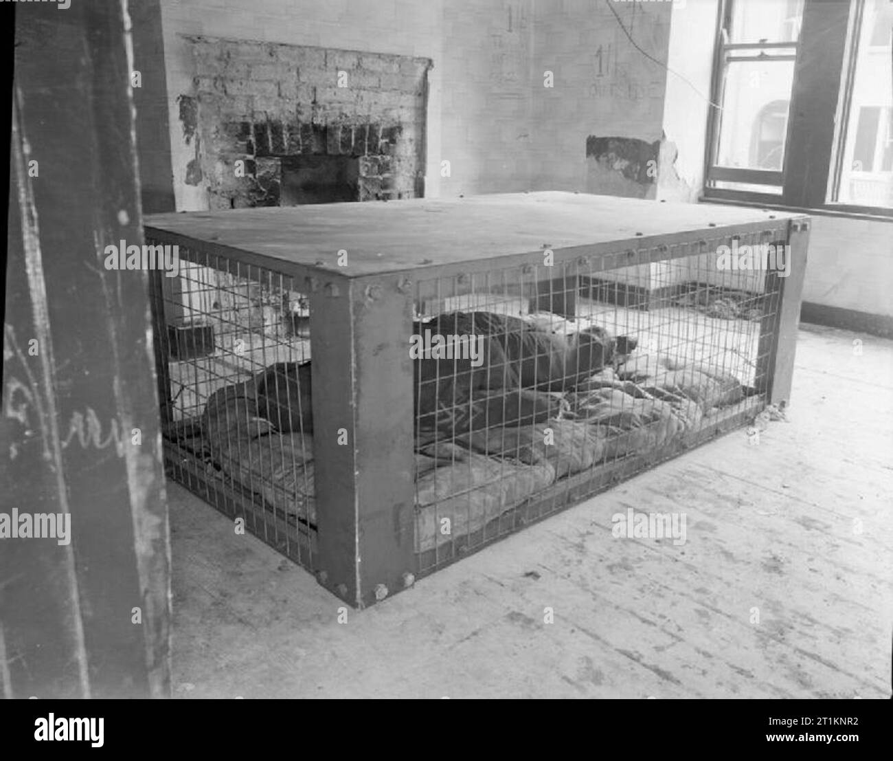 Morrison Shelter on Trial- Testing the New Indoor Shelter, 1941 This ...