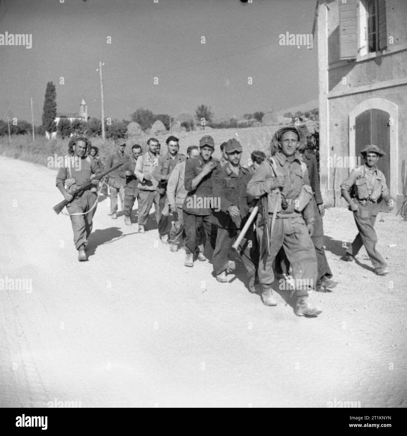 The British Army in Italy 1944 German prisoners being marched into ...