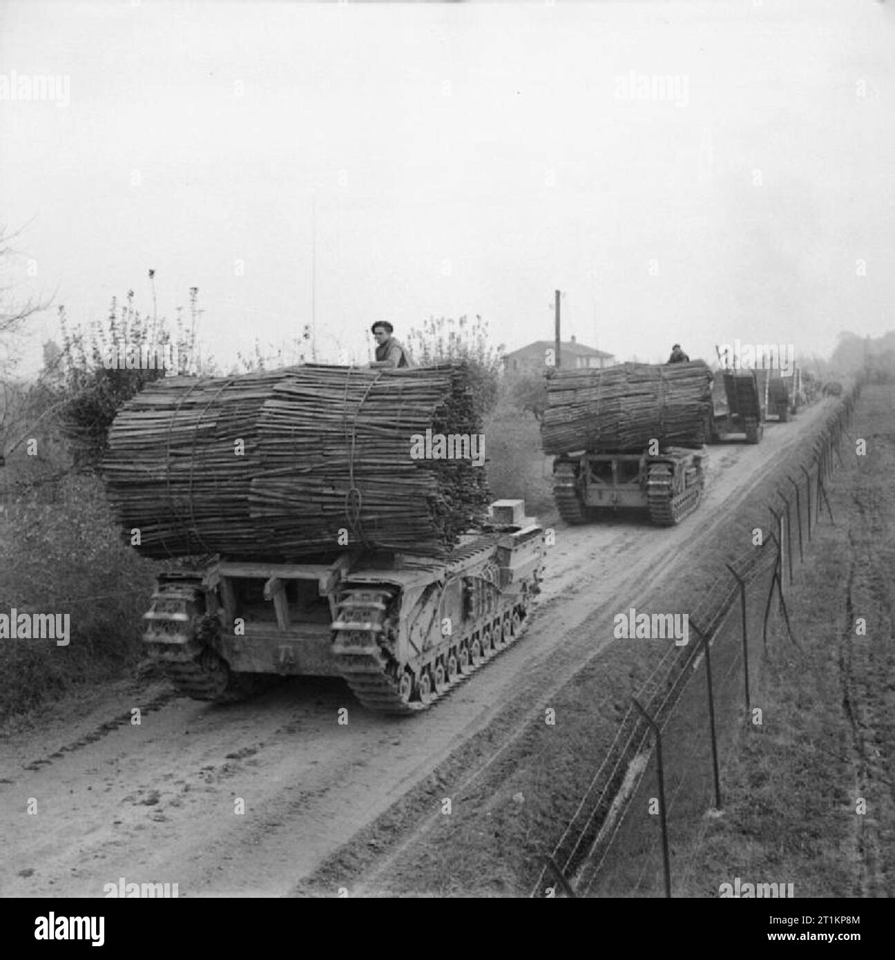 The British Army in Italy 1944 Churchill AVREs carrying fascines and ...