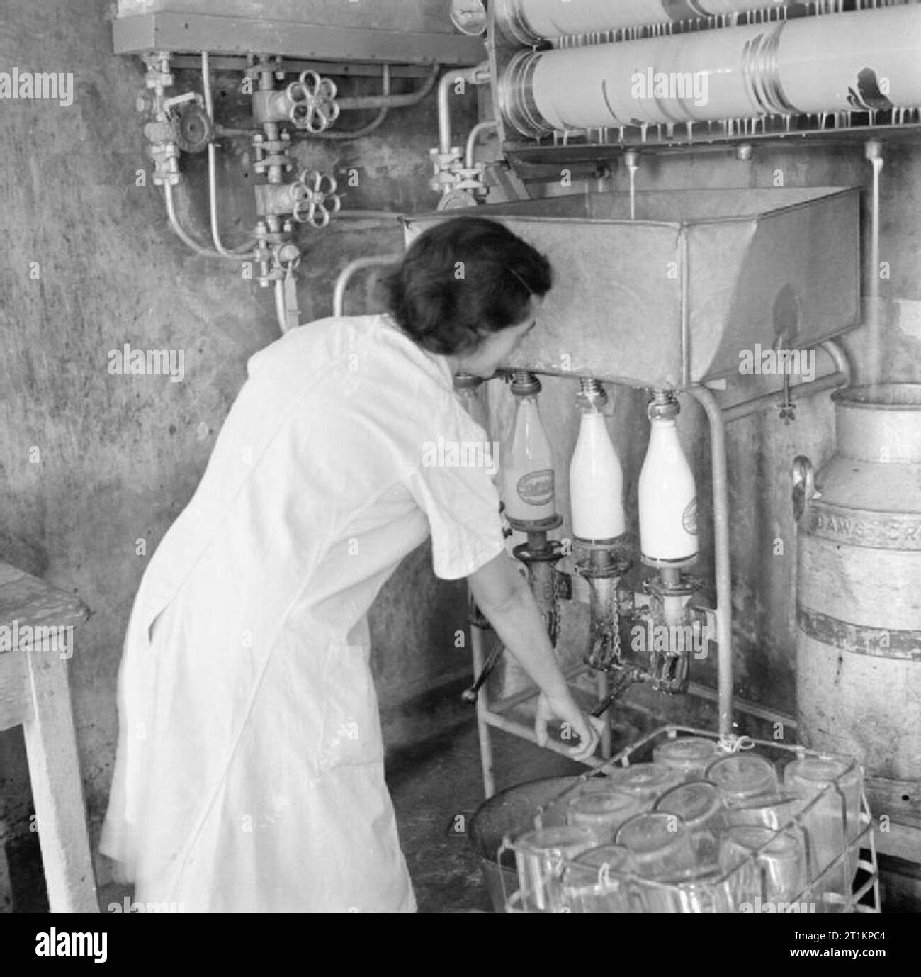 Parsonage Farm- Dairy Farming in Devon, England, 1942 A dairy maid ...