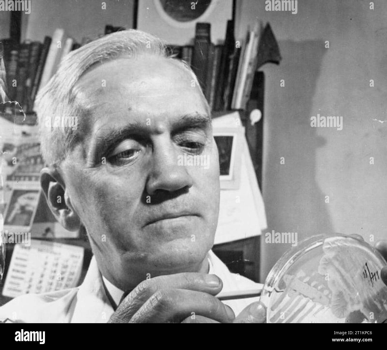 Alexander Fleming Penicilina