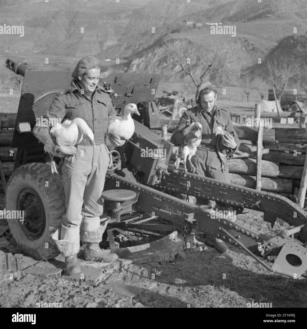 The British Army in Italy 1944 25pdr gunners of 43rd Field Regiment ...