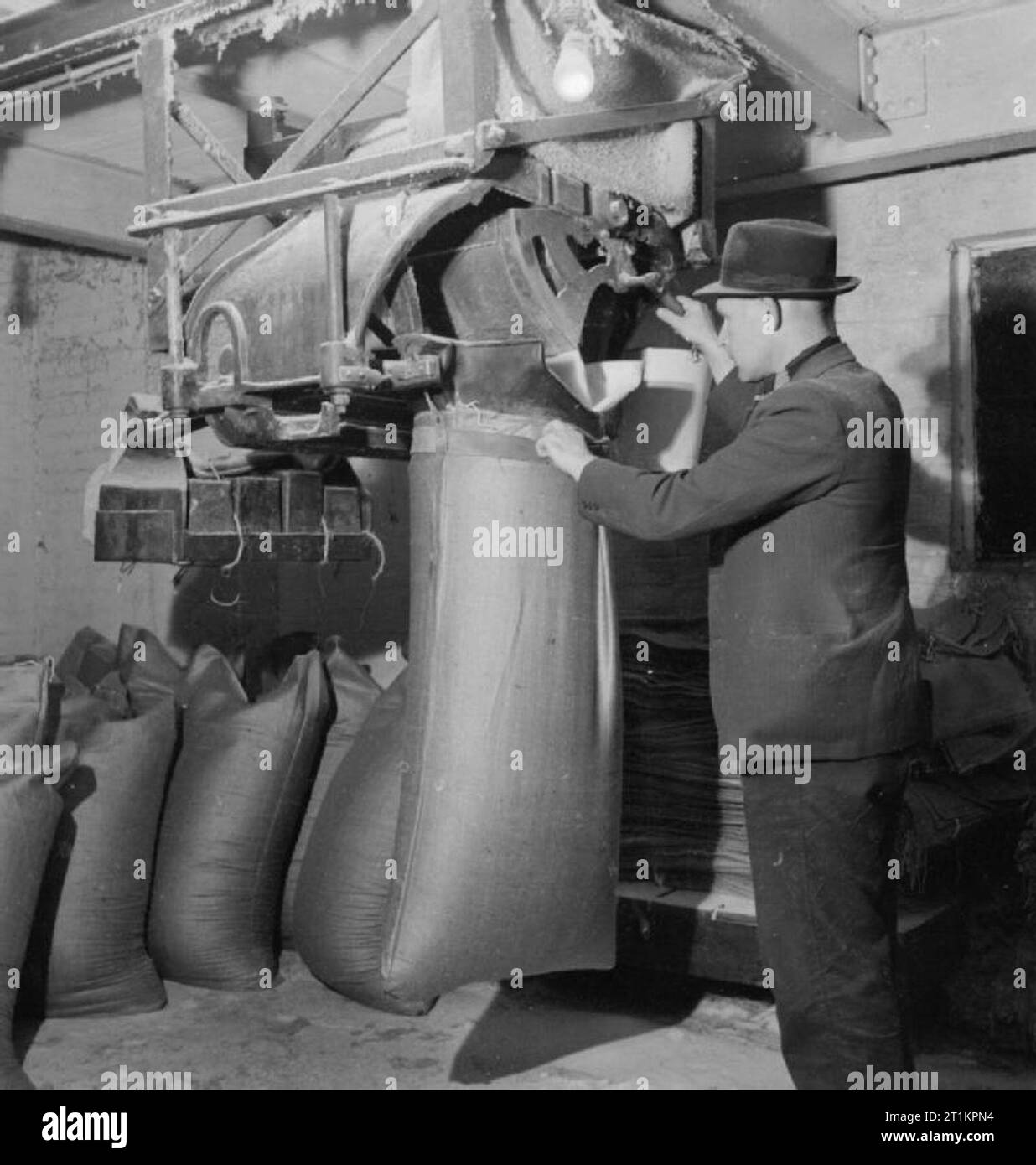 Producing Your Sugar- the Growing and Processing of Sugar Beet, Britain ...