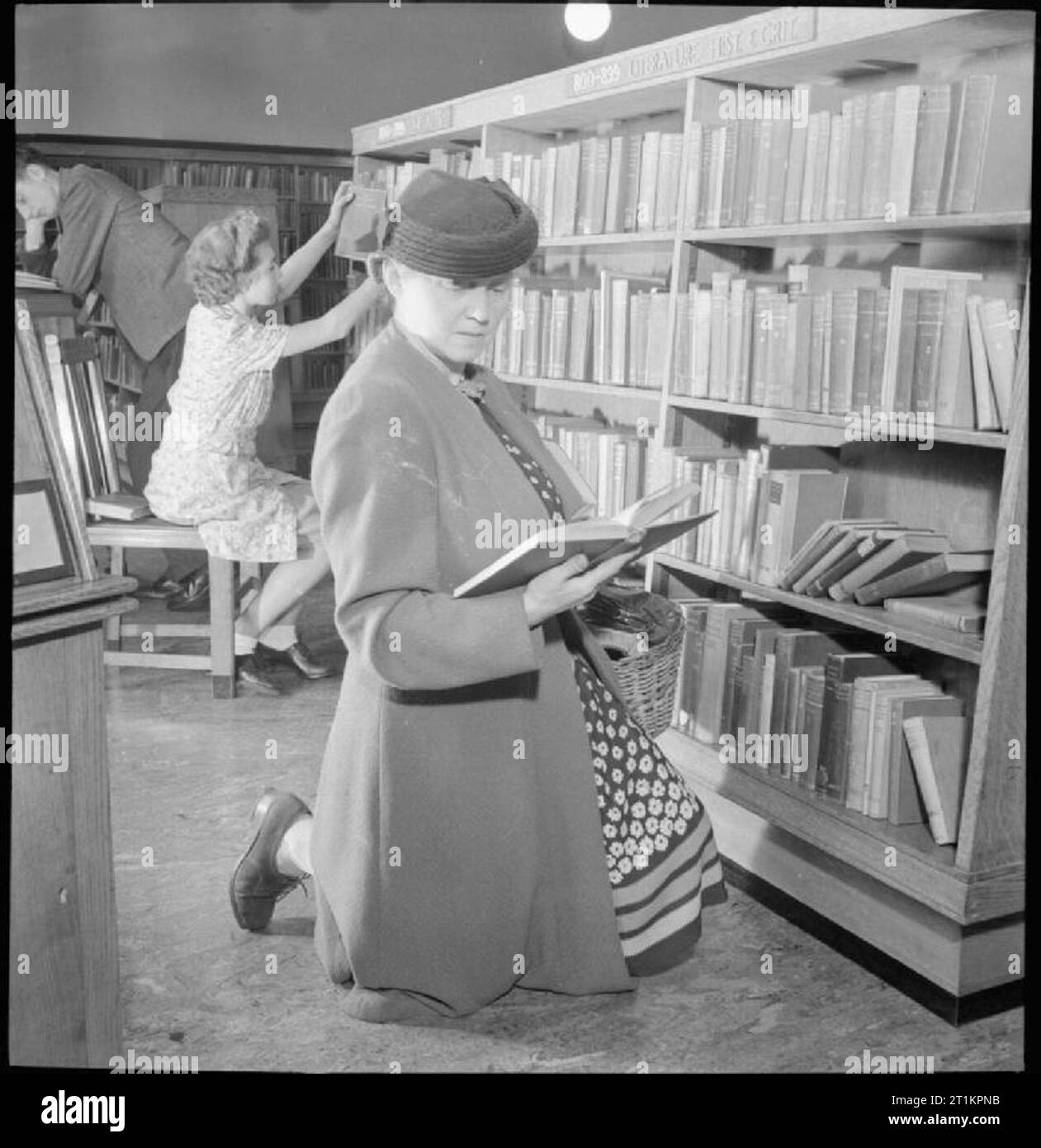 Original book shelves hi-res stock photography and images - Alamy