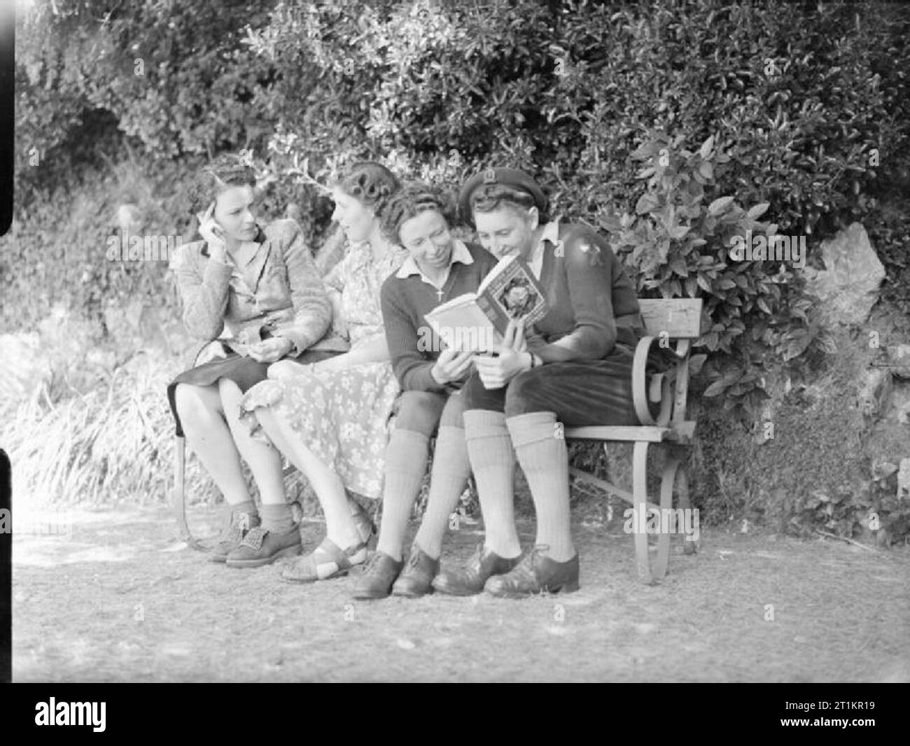 Work on timber trees Black and White Stock Photos & Images - Alamy