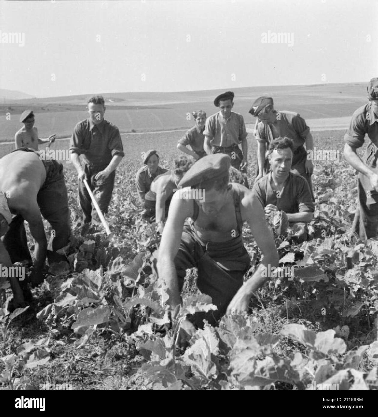 Regiments of the british army hi-res stock photography and images - Alamy