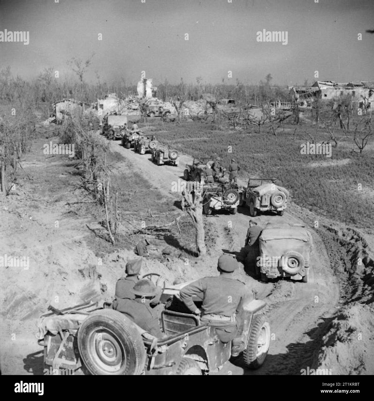 The British Army in Italy 1945 A convoy of jeeps during operations to ...