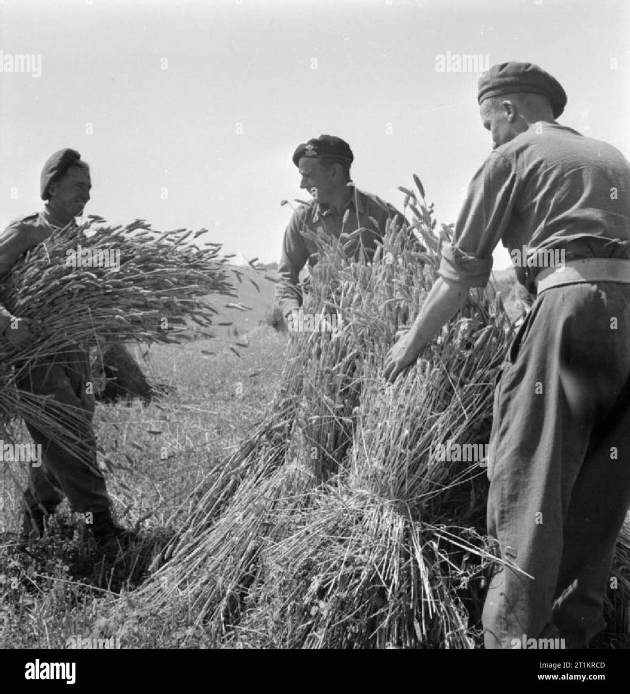 Soldiers Working on the Land- Helping With the Harvest, UK, July 1945 ...