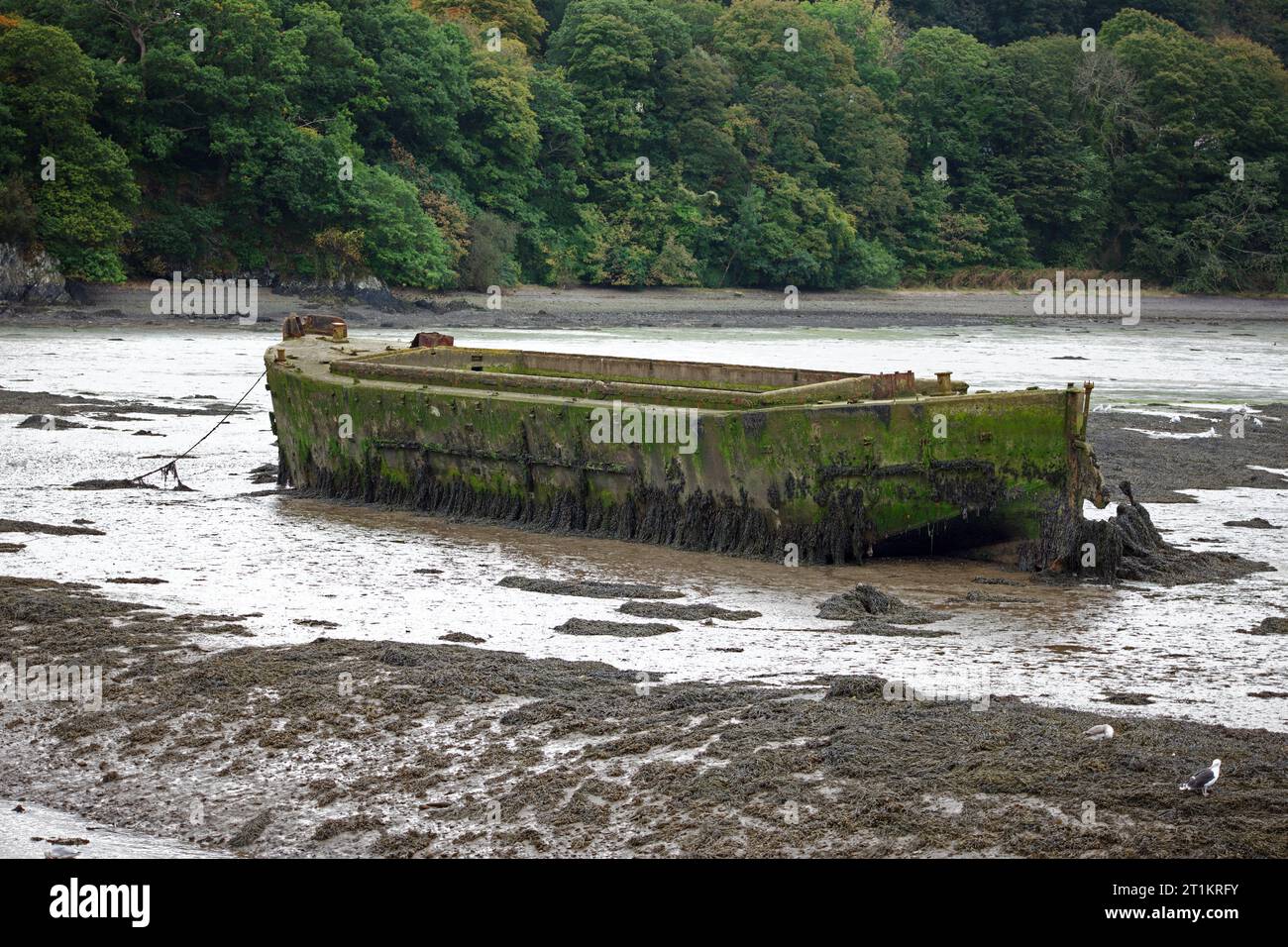 Old barge covered in seaweed hi-res stock photography and images - Alamy