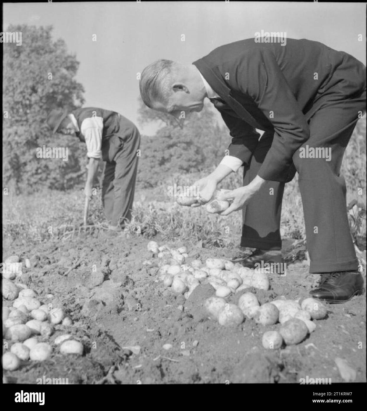 The Gardens of Kew- the work of Kew Gardens in Wartime, Surrey, England ...