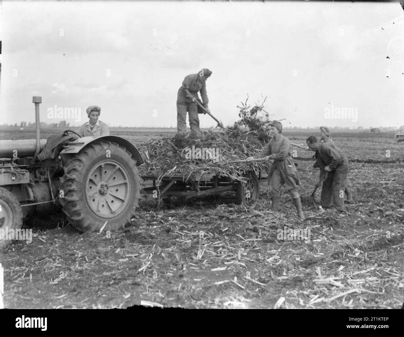 The work of the Women's Land Army in the Reclamation of Fen Land ...