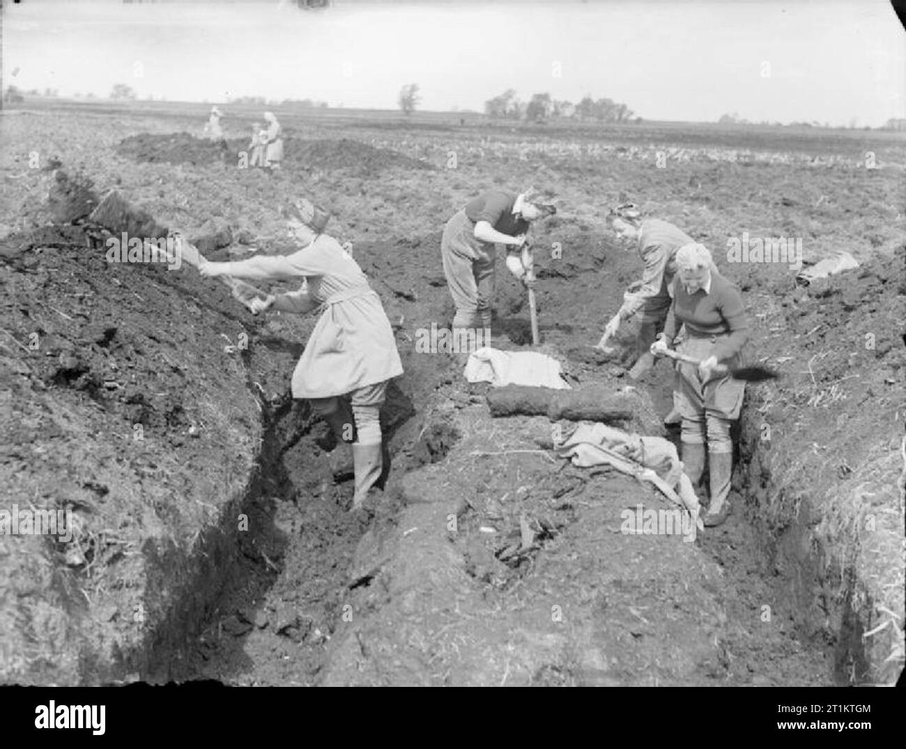 The work of the Women's Land Army in the Reclamation of Fen Land ...