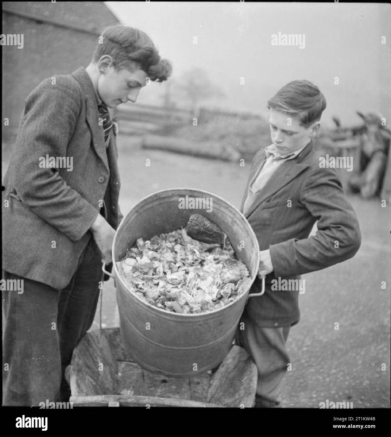 Swill pig feed Black and White Stock Photos & Images - Alamy