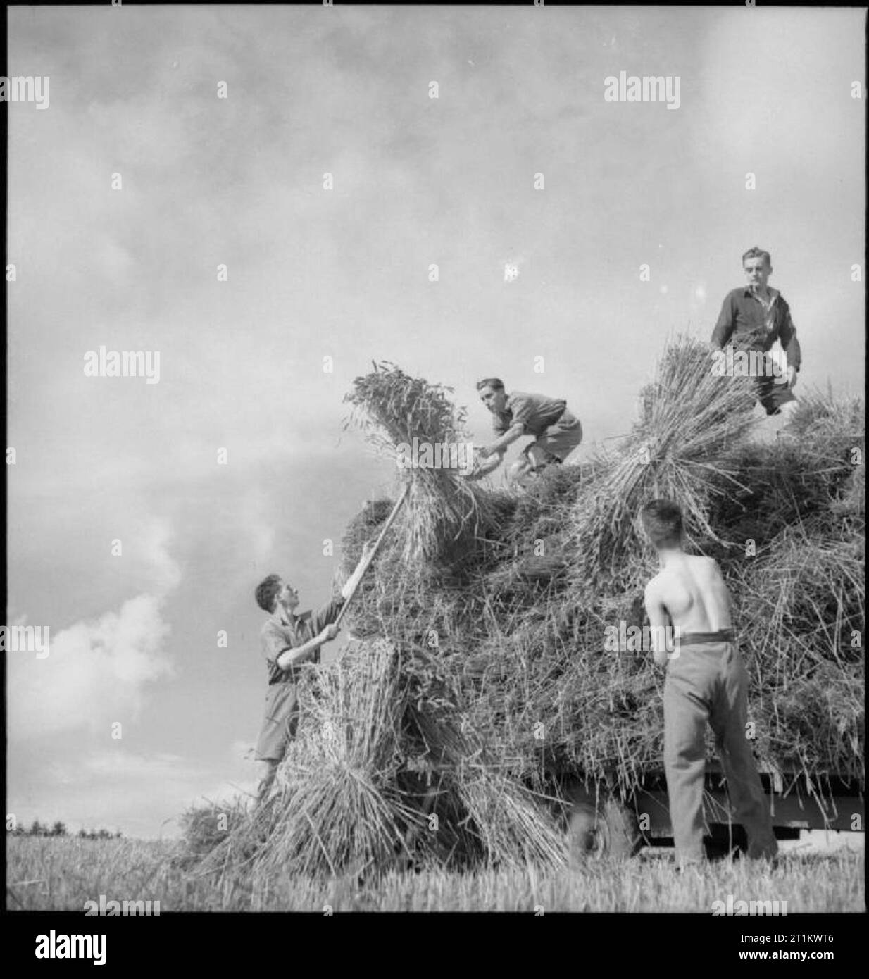 Youth Service Volunteers Help British Farmers- Agricultural Camp at ...