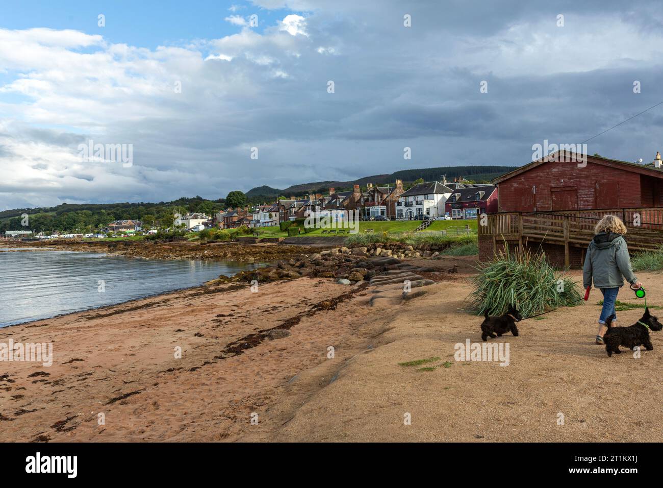 Woman and dogs in Brodick beach, Isle Of Arran, Firth of Clyde ...