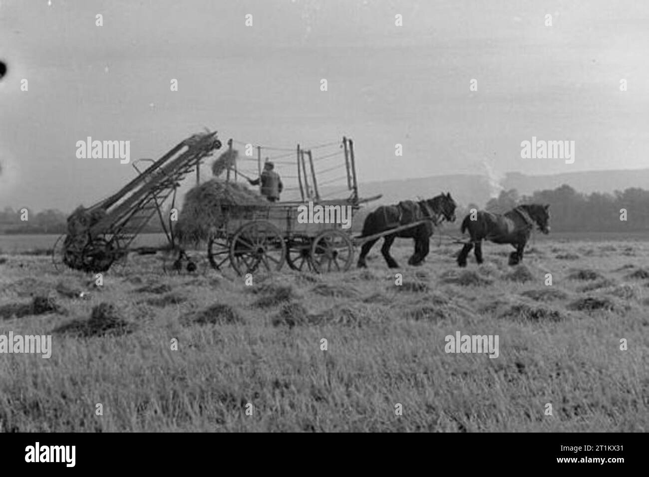 Ww2 farm agriculture hi-res stock photography and images - Alamy