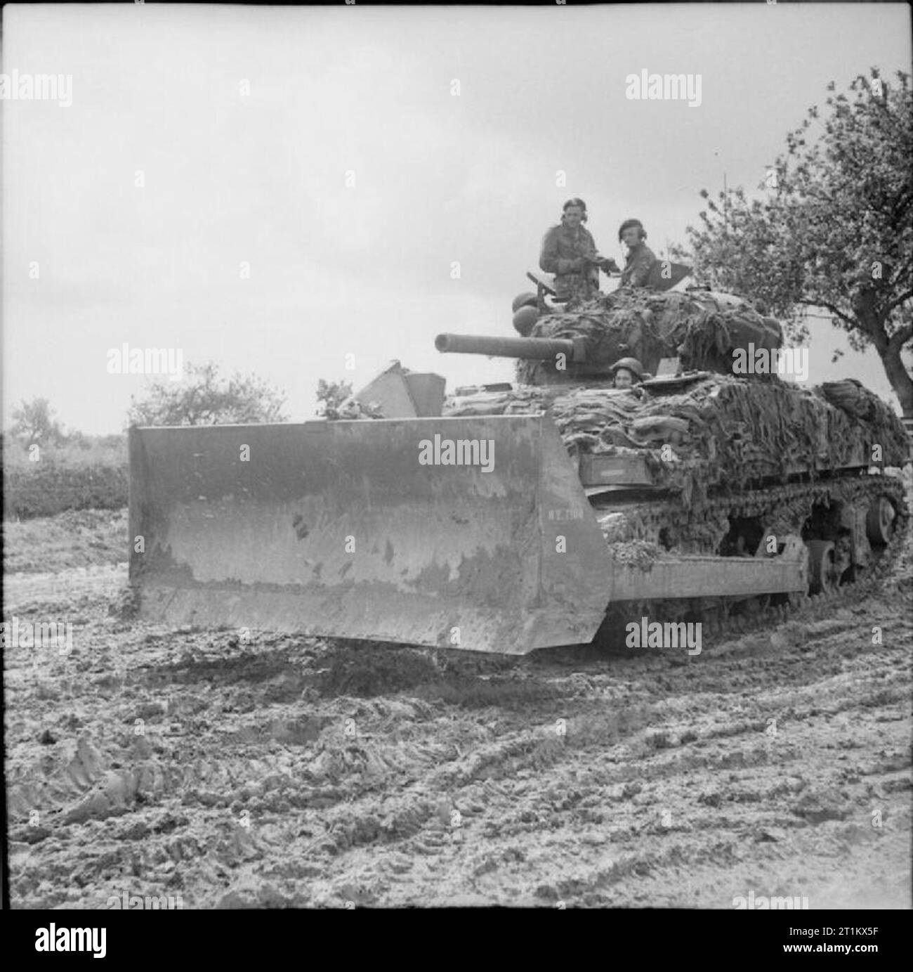The British Army in Normandy 1944 Sherman dozer tank, 4 July 1944 Stock ...