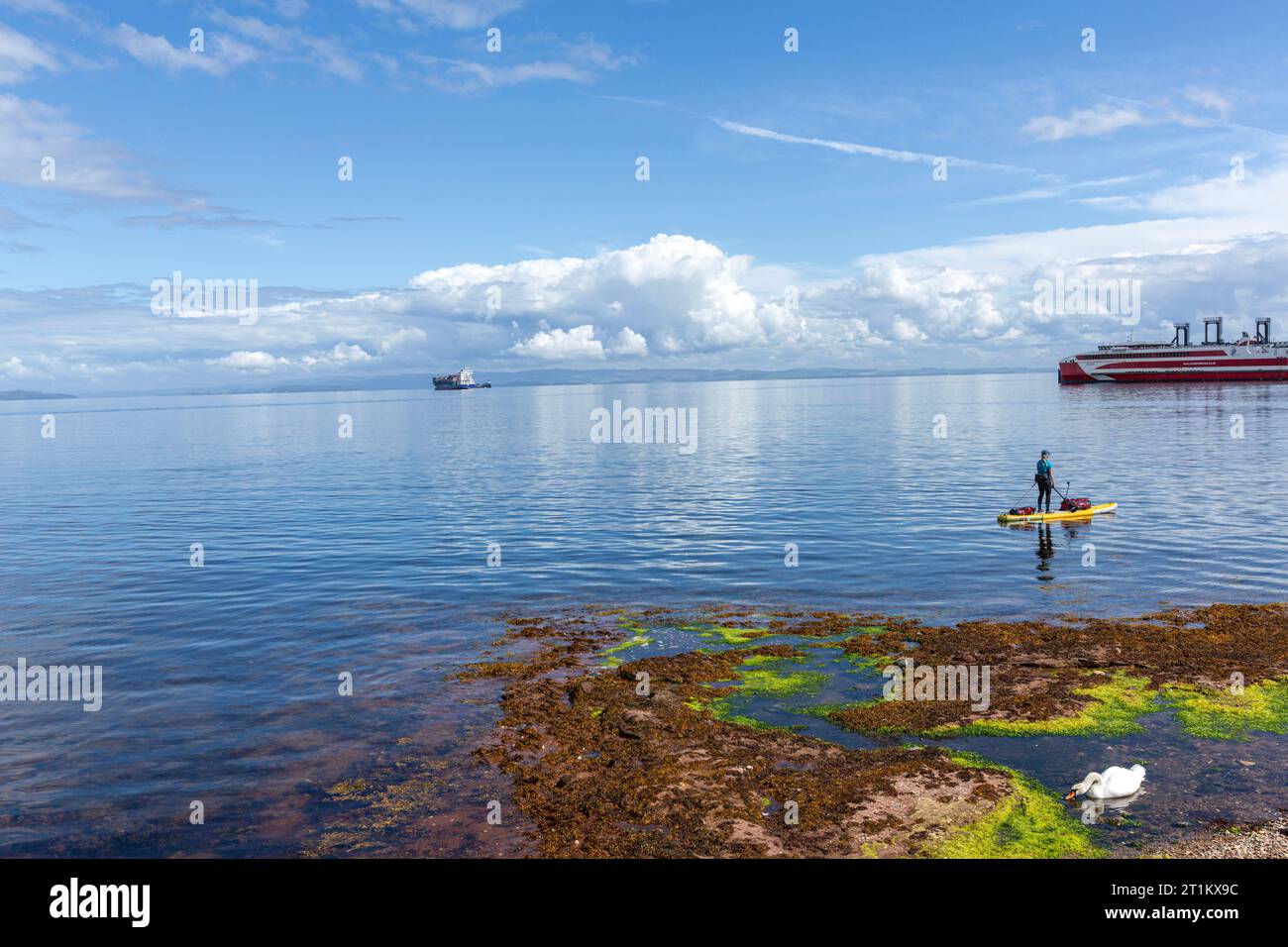 Woman water paddling and MV Alfred, Pentland Ferries, from Brodick to ...