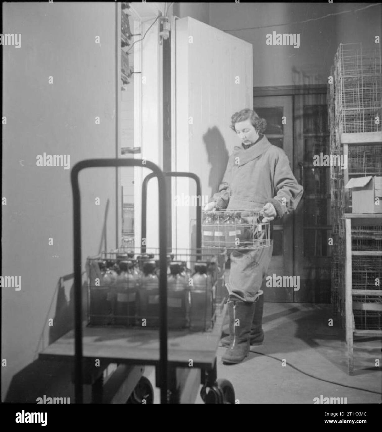 Blood Drying Unit- Processing Blood in the Laboratory, Cambridge ...