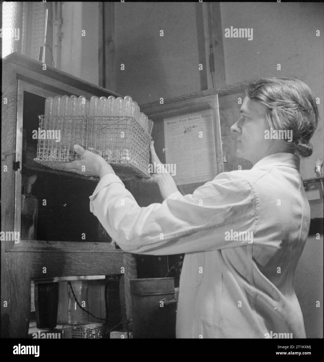 Blood Drying Unit- Processing Blood in the Laboratory, Cambridge ...