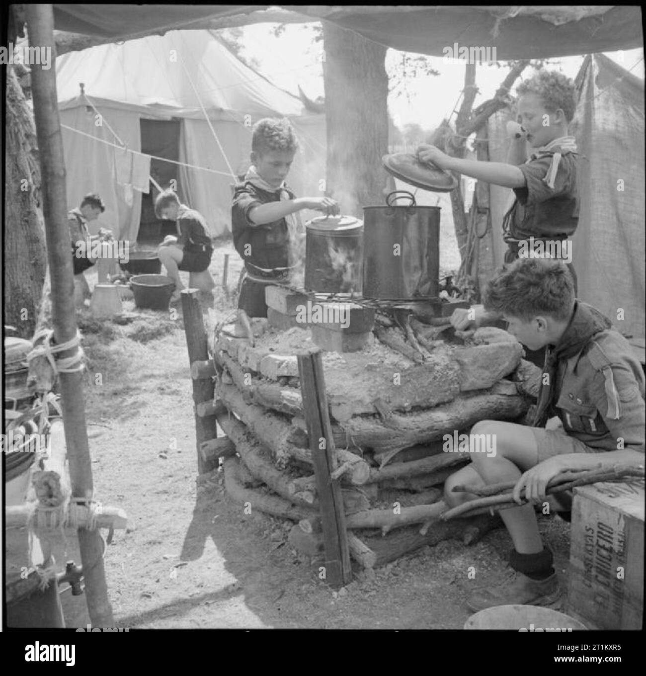 Boy Scouts Pick Fruit For Jam- Life on a Fruit-picking Camp Near ...