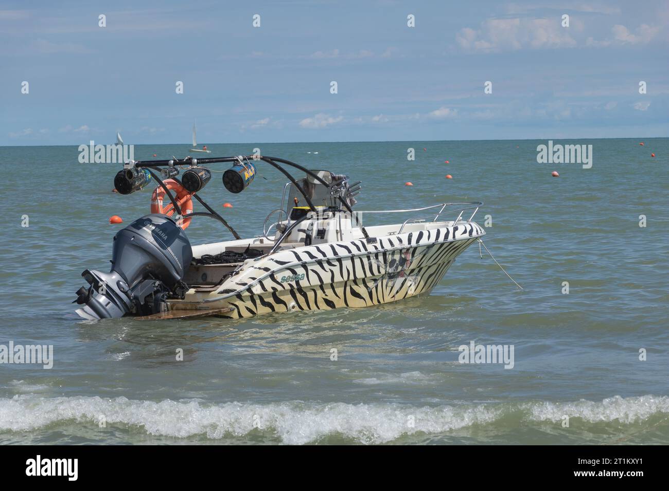 Zebra boat pattern hi-res stock photography and images - Alamy