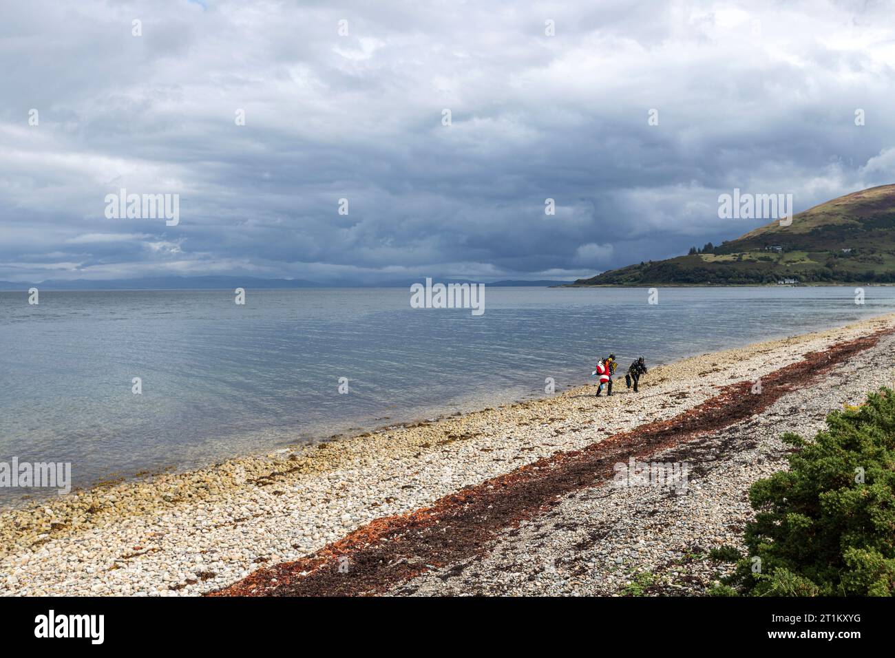 Divers in a Pebble beach along A841 near Lochranza, Isle Of Arran ...