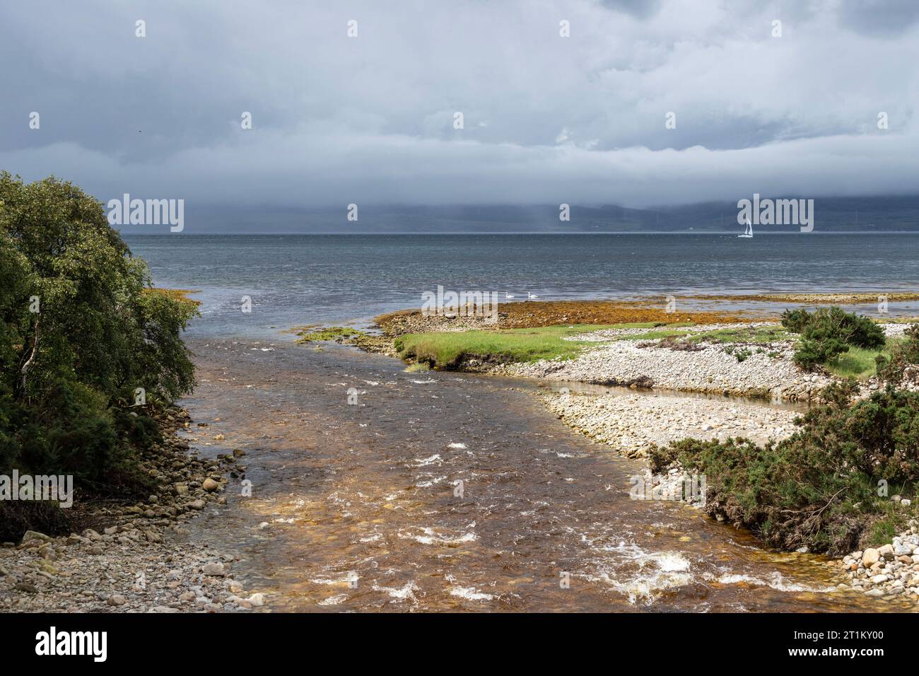Sailing boat and swans in Catacol Bay, Isle Of Arran, Firth of Clyde ...