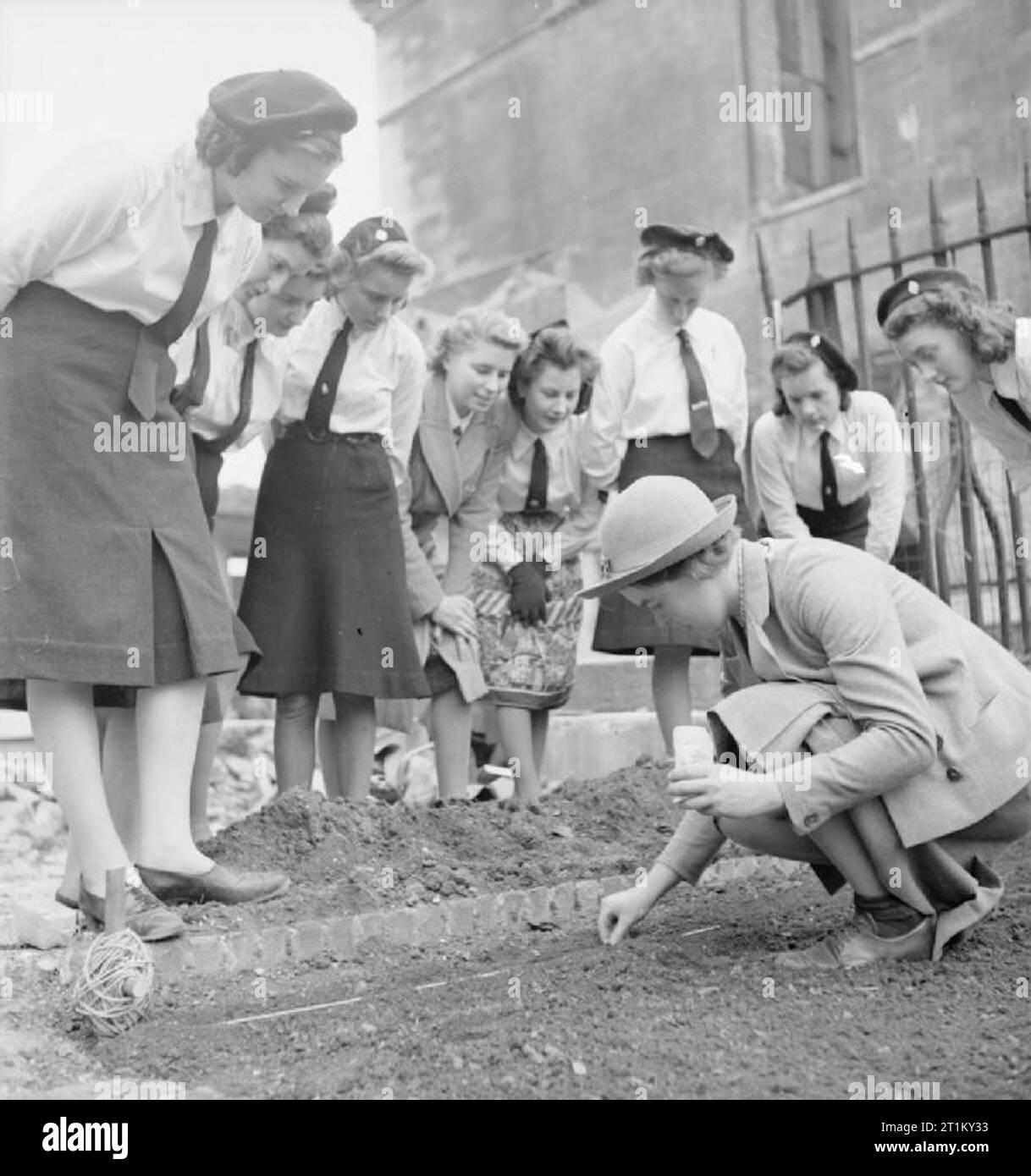 Britain's Youth Prepares- Girls Create Allotments on Bomb Site, London ...
