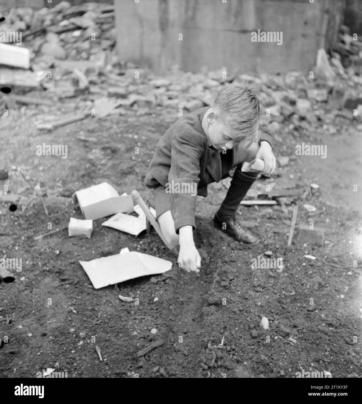 Ww2 bomb site england plants hi-res stock photography and images - Alamy