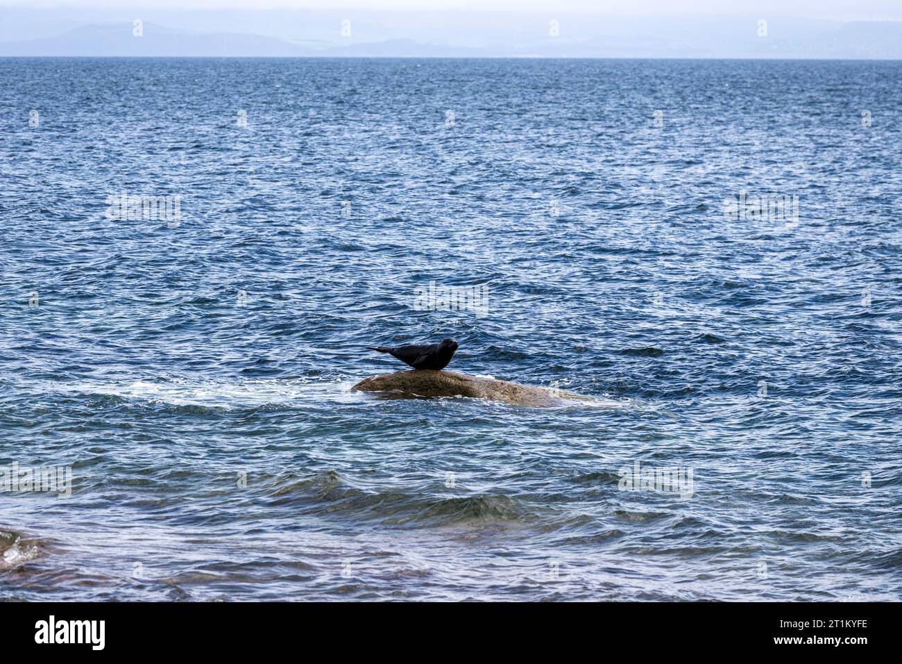 Sculptor marvin elliott hi-res stock photography and images - Alamy