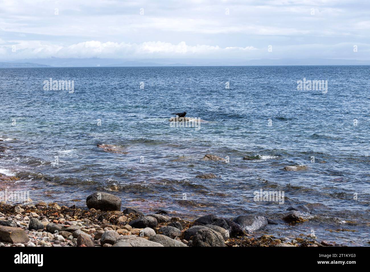 Seal sculpture at corrie hi-res stock photography and images - Alamy