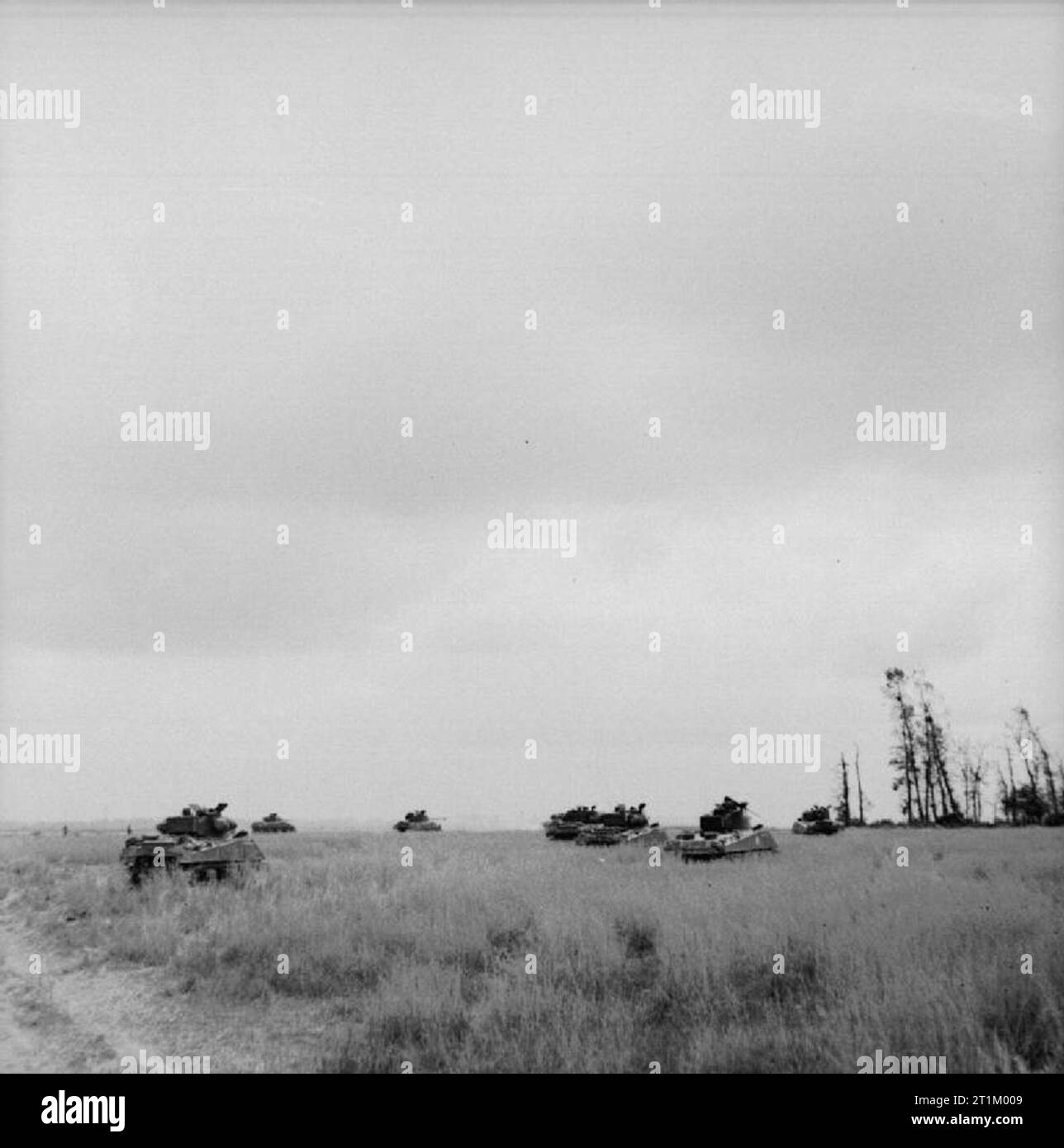 The British Army in Normandy 1944 Sherman tanks advance in the Odon ...